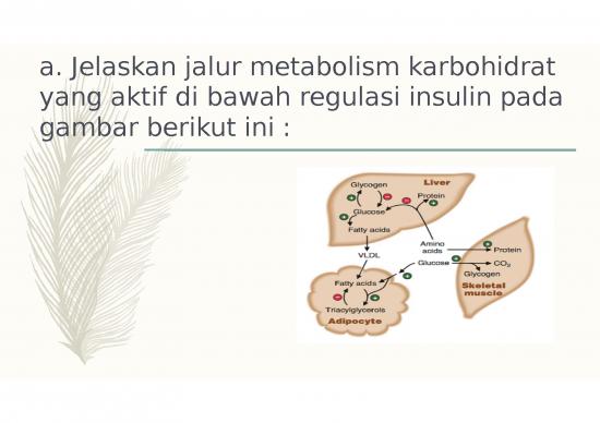 Jalur Metabolisme Karbohidrat Di Bawah Regulasi Hormon Insulin Dan Glukagon