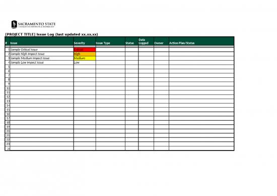 Excel Sample Sheet 41379 | Issue And Risk Log Template