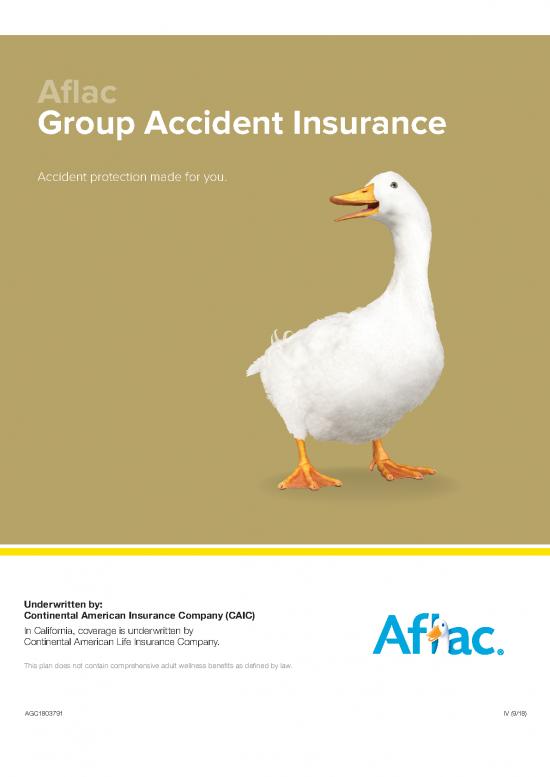 Group Therapy Pdf 44768 | Hr Aflac Accidentinsurancesummary