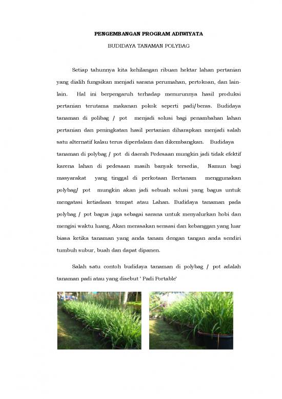 Padi Pdf 56592 | Adiwiyata Budidaya Tanaman Polybag