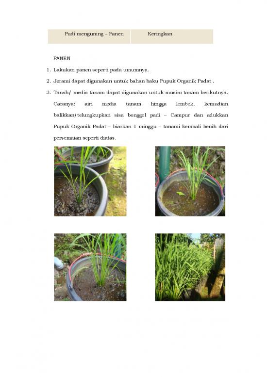 Padi Pdf 56592 | Adiwiyata Budidaya Tanaman Polybag