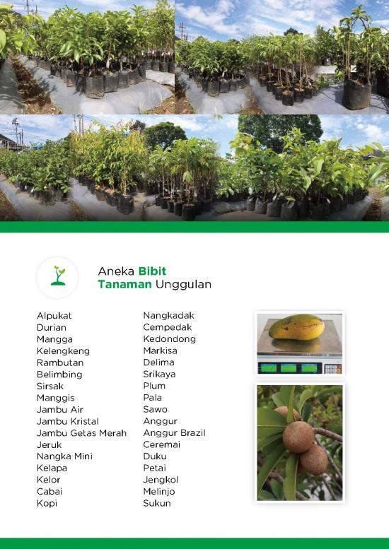 Tanaman Hias Pdf 63604 | Katalog Botani Mart