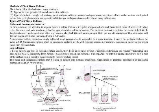 Plant Tissue Culture Slideshare 68122 | 1plant Tissue Culture