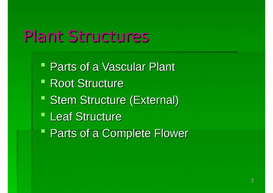 Structure Ppt 71491 | 102 Plant Structures