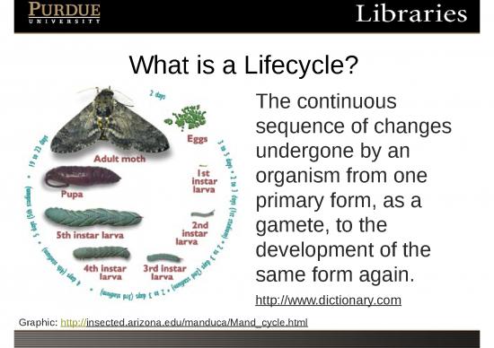 Scientific Research Ppt 70091 | 20120806 Mon06 Mon06 Life Cycle Models