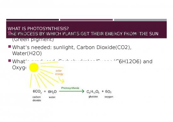 Photosynthesis Ppt 71501 | Photosynthesis Vs Cellular Respiration