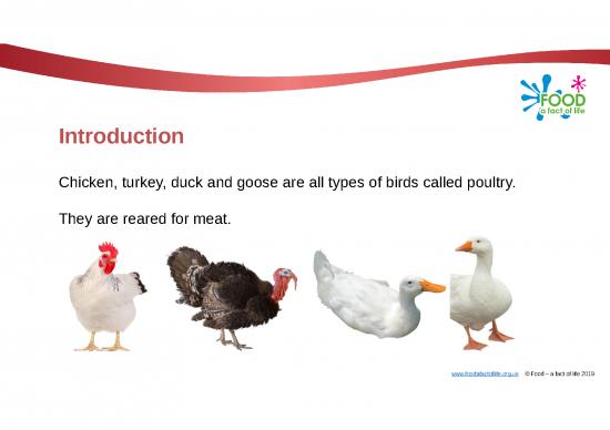 Farming Ppt 69644 | Poultry Farming Ppt 711wfcf2