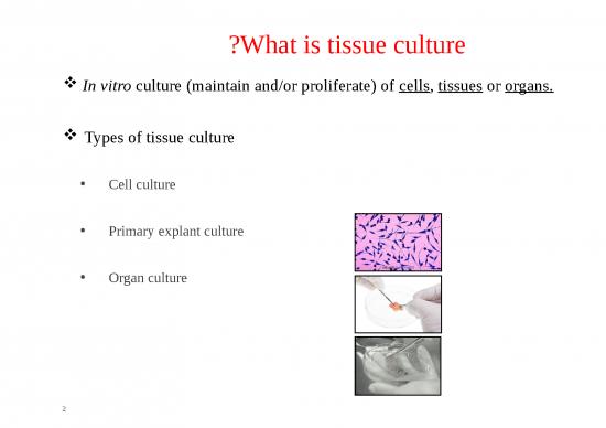 Animal Cell Culture Slideshare 77459 | Animal Tissue Culture Lecture 1 Animal Cell Culture Slideshare 77459 | Animal Tissue Culture Lecture 1