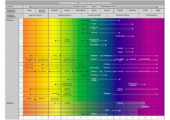 Behaviour Therapy Ppt 78813 | Measuring And Recording Animal Behaviour Behaviour Therapy Ppt 78813 | Measuring And Recording Animal Behaviour