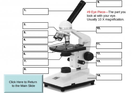 Parts Of The Microscope And Functions Ppt 1