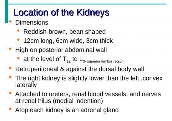 Unit 20 Urinary System Notes