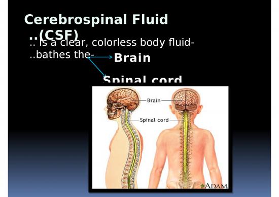 Theory Of Production Function 83398 | Cerebrospinal Fluid