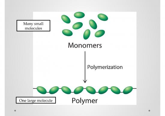 Dehydration Ppt Presentation Download 82862 | Dehydration Synthesis ... Dehydration Ppt Presentation Download 82862 | Dehydration Synthesis ...