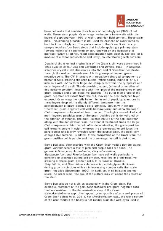 Gram Staining Procedure Pdf 85391 | Gram Stain Protocol 2886