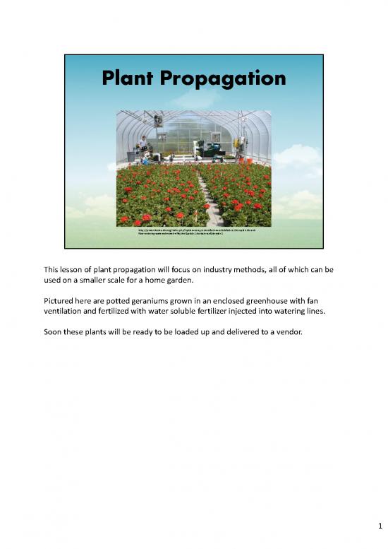 Plant Propagation Methods Pdf 88580 | Plant Propagation Powerpoint