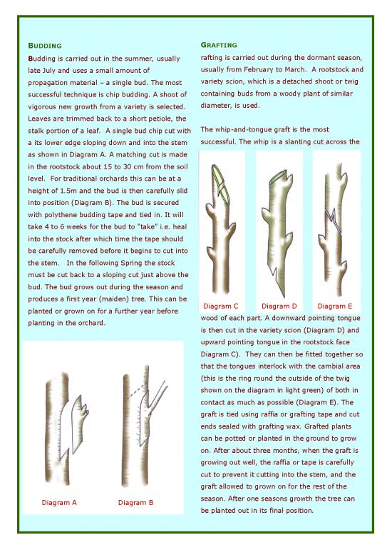 Grafting Pdf 88722 | Grafting And Budding For Traditional Orchards