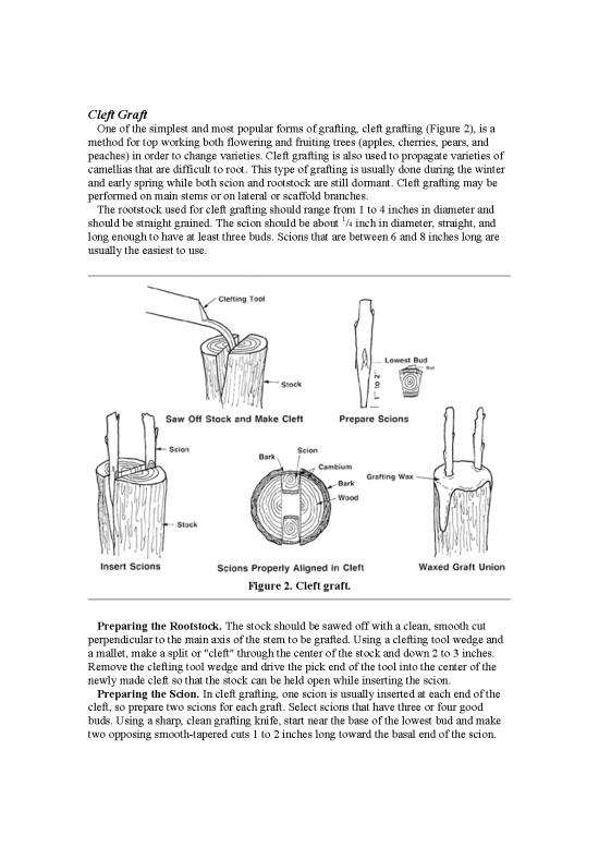 Grafting Pdf 86945 | Grafting And Budding Nursery Crop Plants