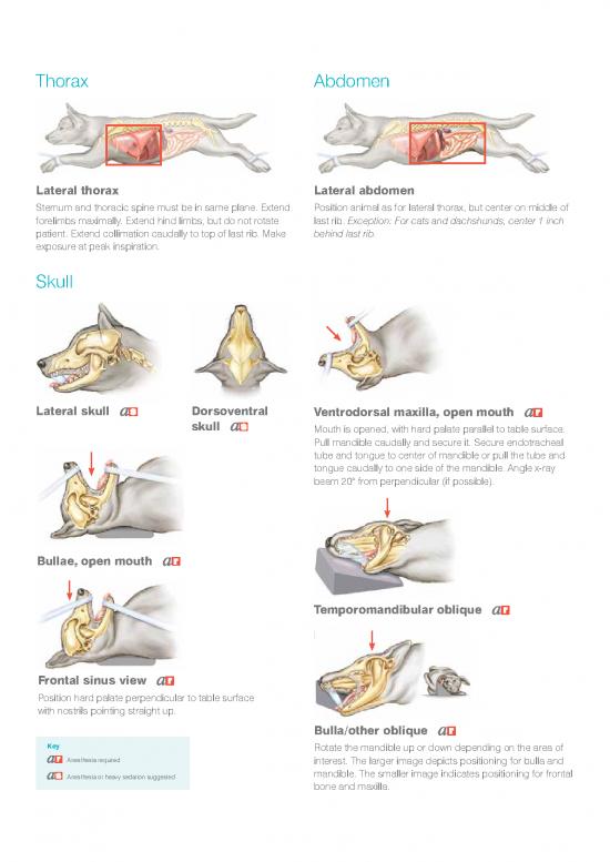 Exposure Therapy Pdf 89873 | Radiography Positioning Guide