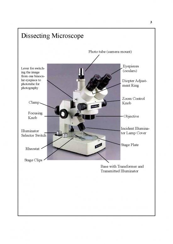 Alan Windham Microscopic Identification Of Turfgrass Diseases Stma