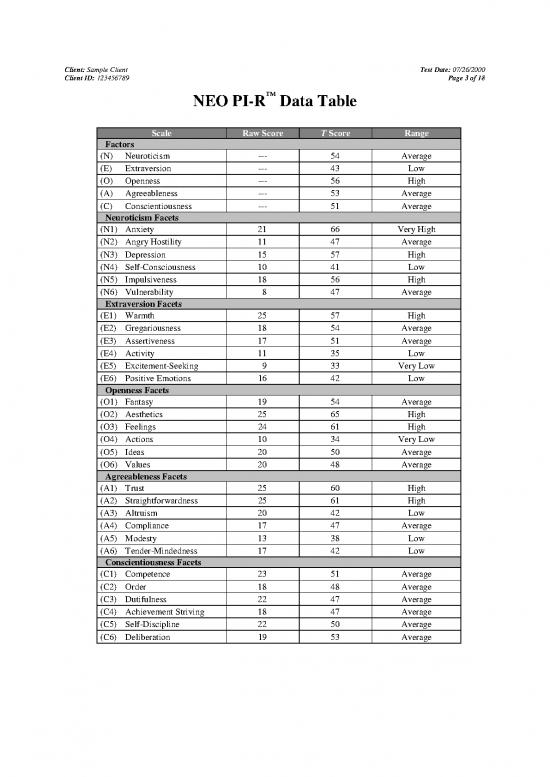 Personality Pdf 96810 | Neo Pir Ir Sample Report
