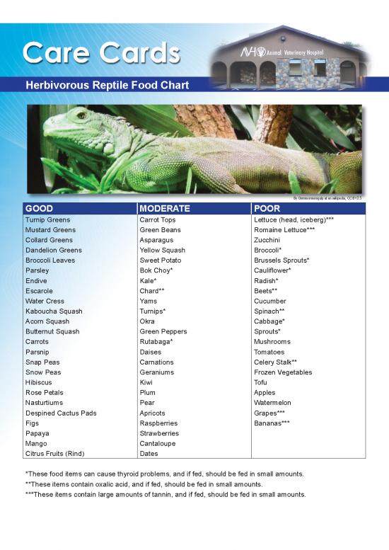 Herbivorous Reptile Food Chart