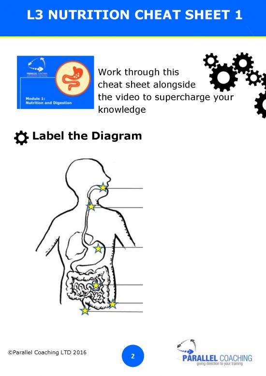 Nutrition Therapy Pdf 145820 | Cheat Sheet Module 1 Digestion And Nutrition
