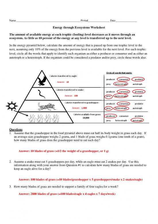 Energy Through An Ecosystem Worksheet As