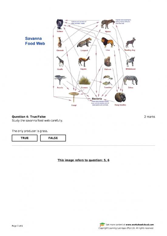 Grade 6 Activity Shee Ecosystems And Food Webs 1 1